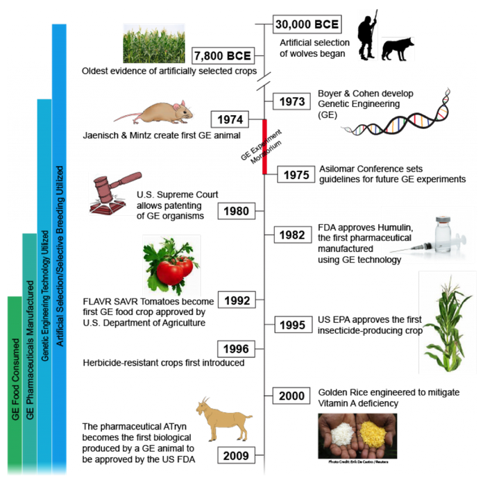 크롭라이프코리아, CropLife Korea - 간단히 살펴본 GMO기술의 긴 역사