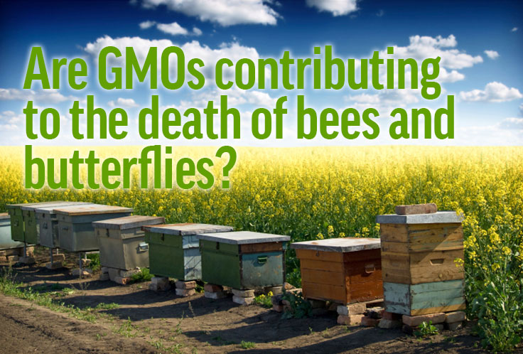 크롭라이프코리아, CropLife Korea - 소비자들이 궁금해 하는 GMO 이야기 9-1