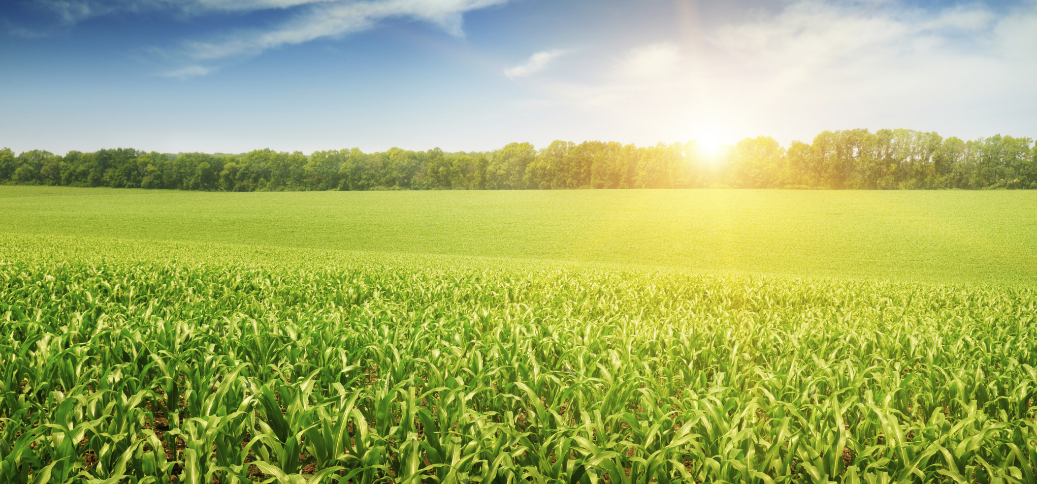 크롭라이프코리아, CropLife Korea - GMO에 관한 사실들