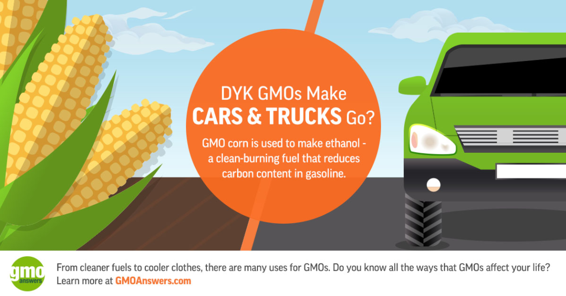 크롭라이프코리아, CropLife Korea - GMO의 활용 (인포그래픽 자료)