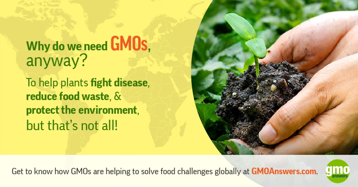 크롭라이프코리아, CropLife Korea - GMO에 관한 인포그래픽 자료