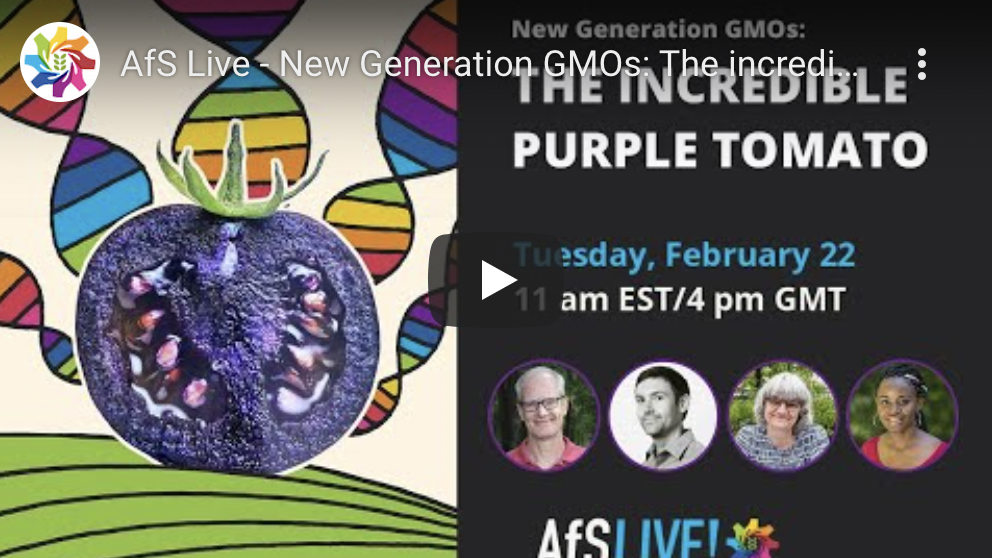 크롭라이프코리아, CropLife Korea - GMO 토마토, 암 퇴치에 도움 줄 수 있어